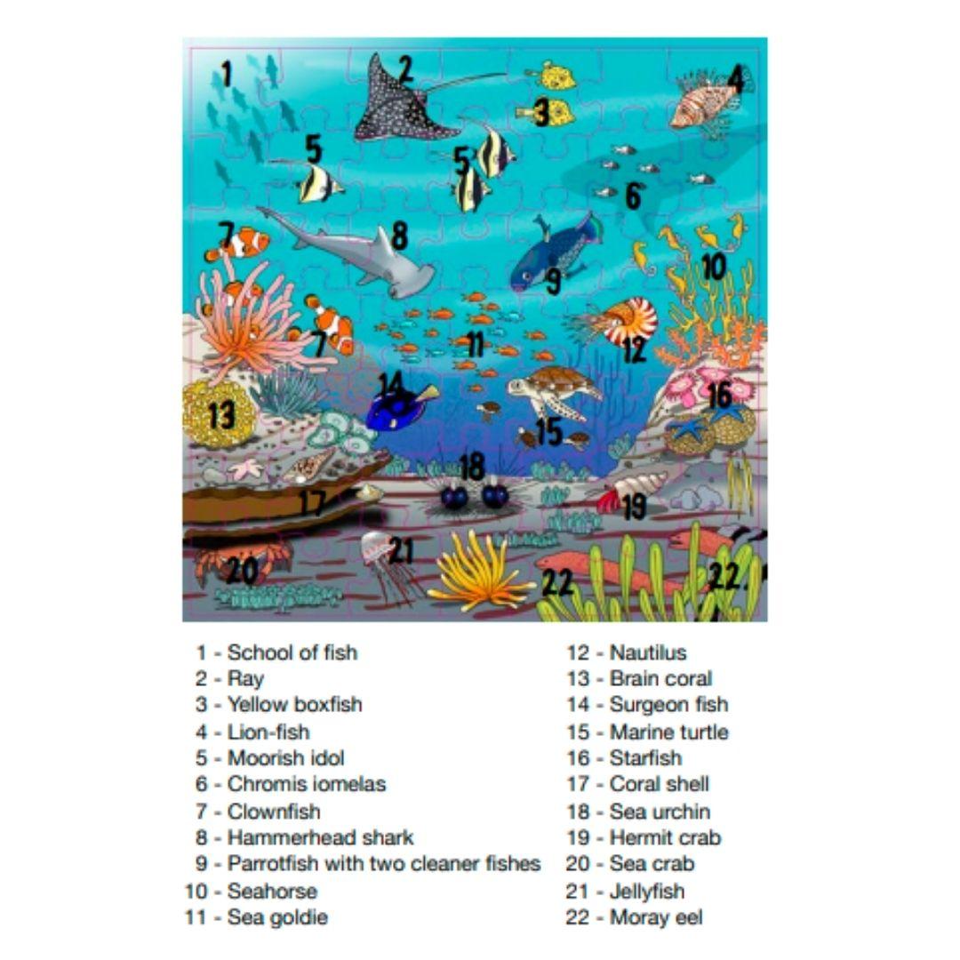 Educo: Large Coral Reef Puzzle | Malih nog naokrog