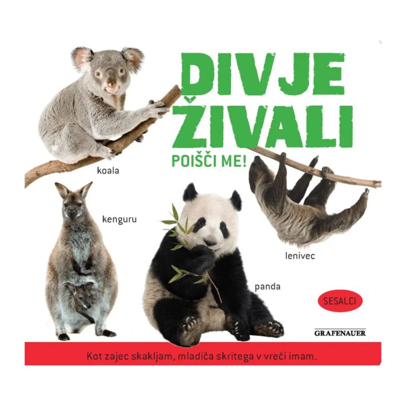 Divje živali (kartonska zgibanka) | Malih nog naokrog